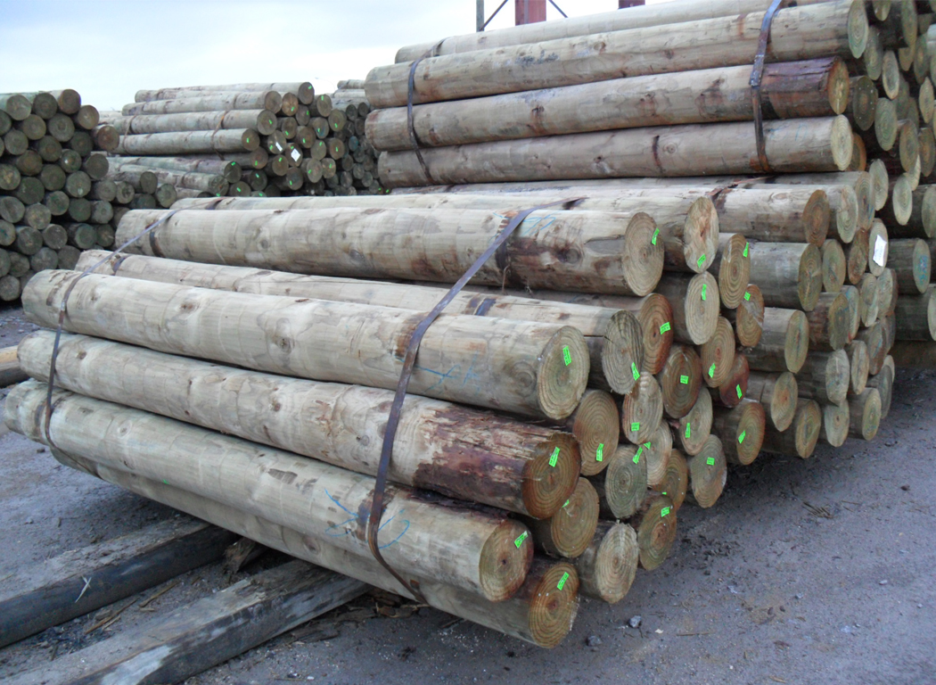 Timber Supplies – Quality NZ Timber for Every Build | ITM NZ